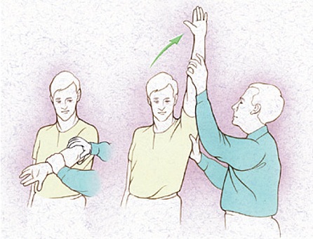 Shoulder Anatomy: Evaluation & Investigations | Shoulder Surgeon in ...