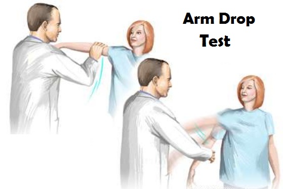 Shoulder Anatomy: Evaluation & Investigations | Shoulder Surgeon in ...