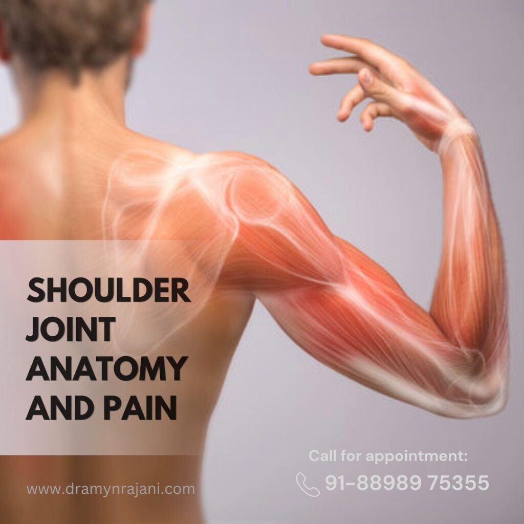Shoulder Joint Anatomy - Knee, Shoulder & Hip Surgeon - Orthopaedic ...